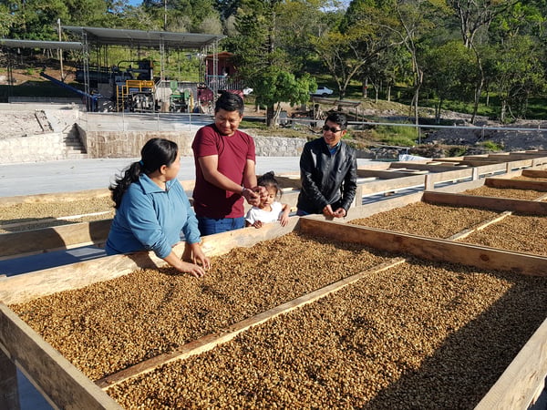 Explore Honduras New Landed Offering