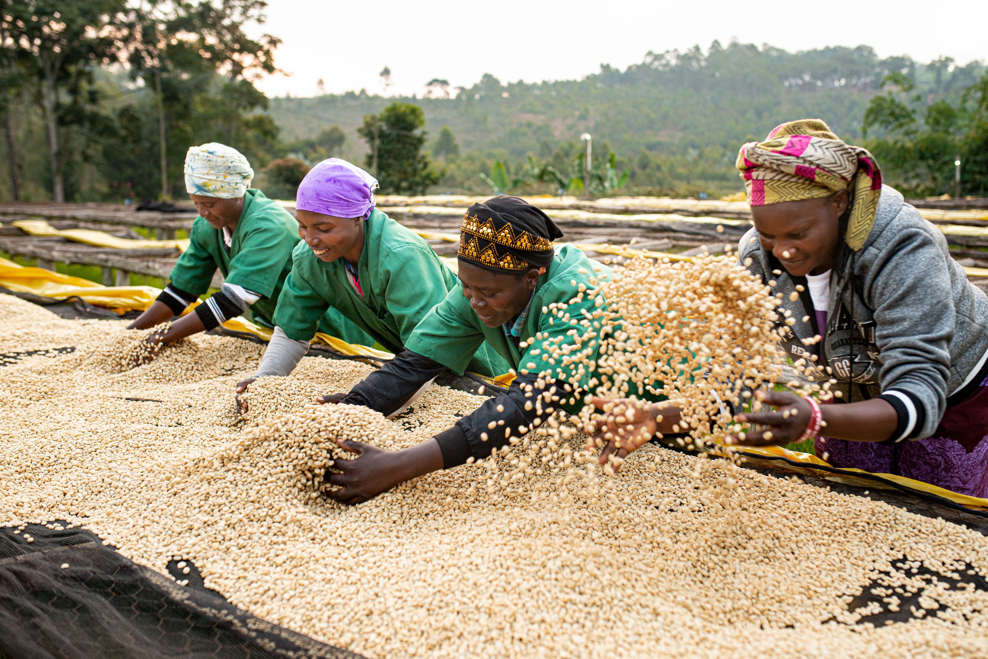 Women's Coffee Program