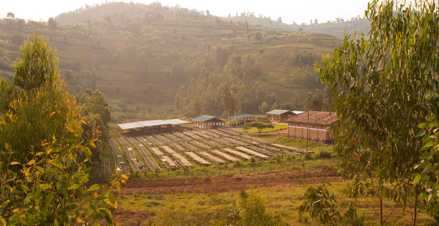 Rwanda's Remarkable Specialty Evolution