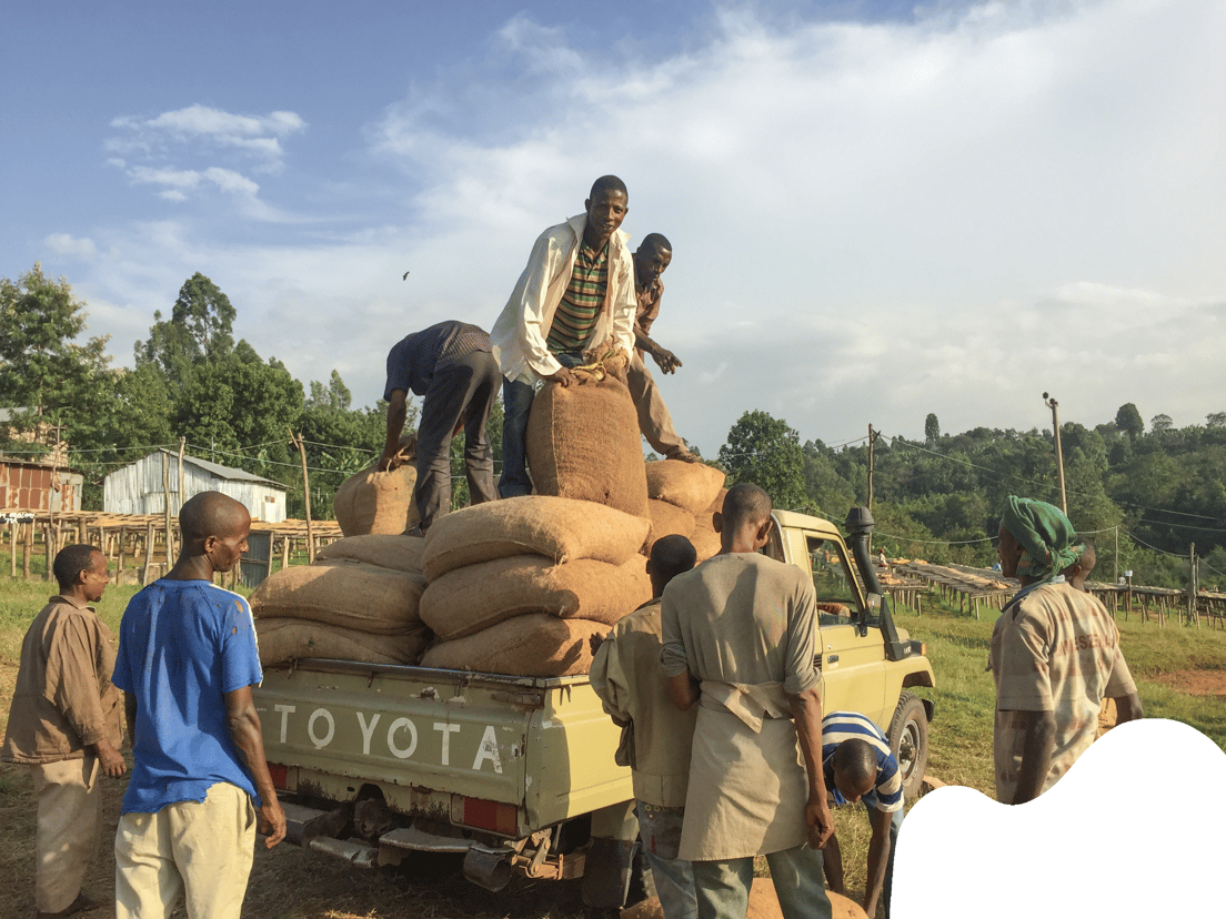 C Market: What is Farmgate Pricing?