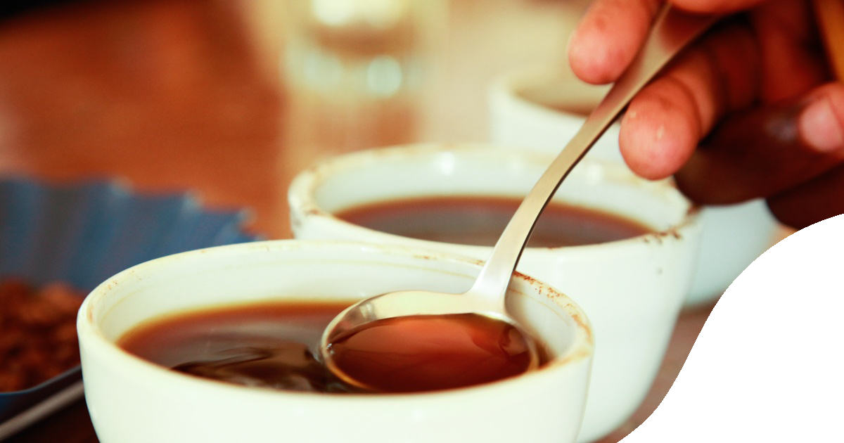 Coffee Cupping: The Basics