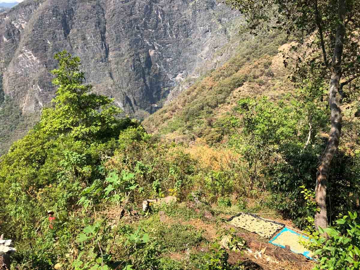 With an analytical approach to production, Sicobi produces a sought ...