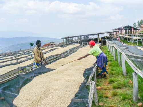Dukunde Kawa Musasa, Rwanda