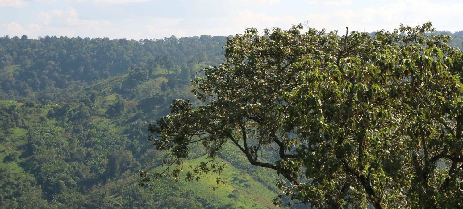 Guji Highland, Ethiopia