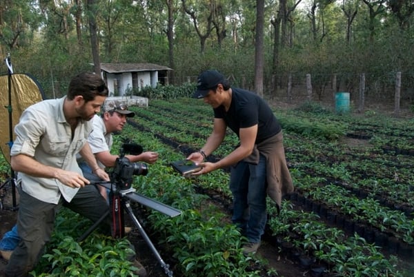 The Roya Recovery Project