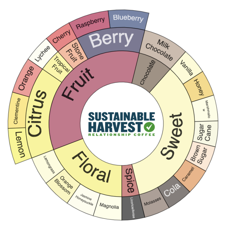 Ten Reasons Why You Should Be Cupping With Tastify
