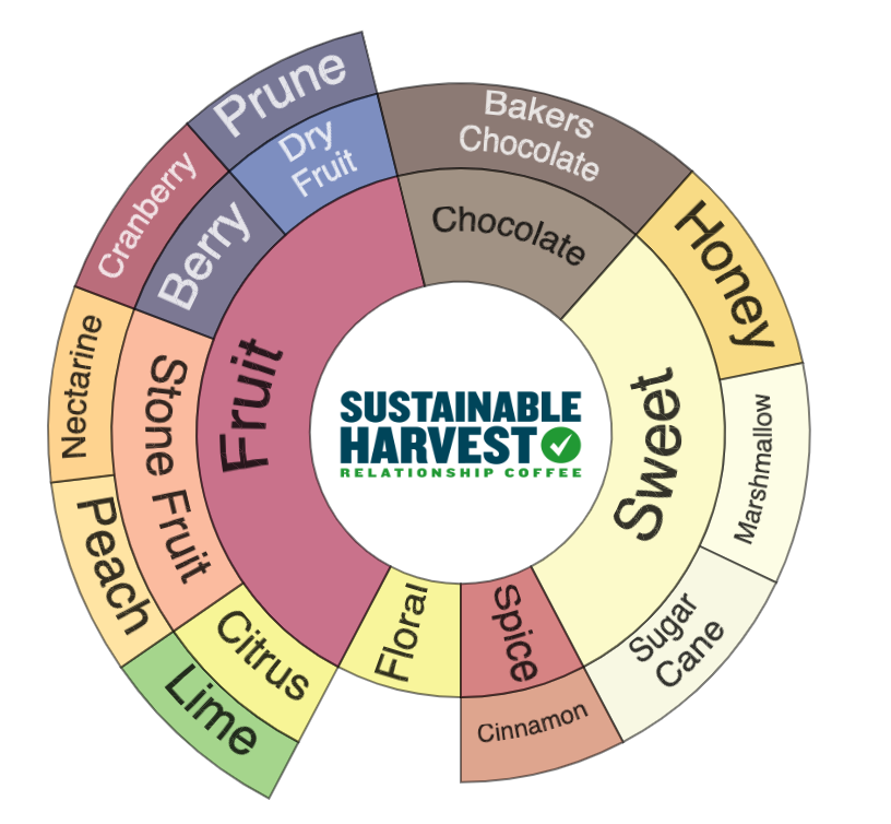 Mexico, Sicobi, Nanixhe, washed Spot