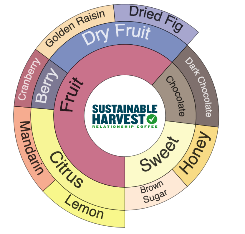 Mexico, Sicobi, washed Spot