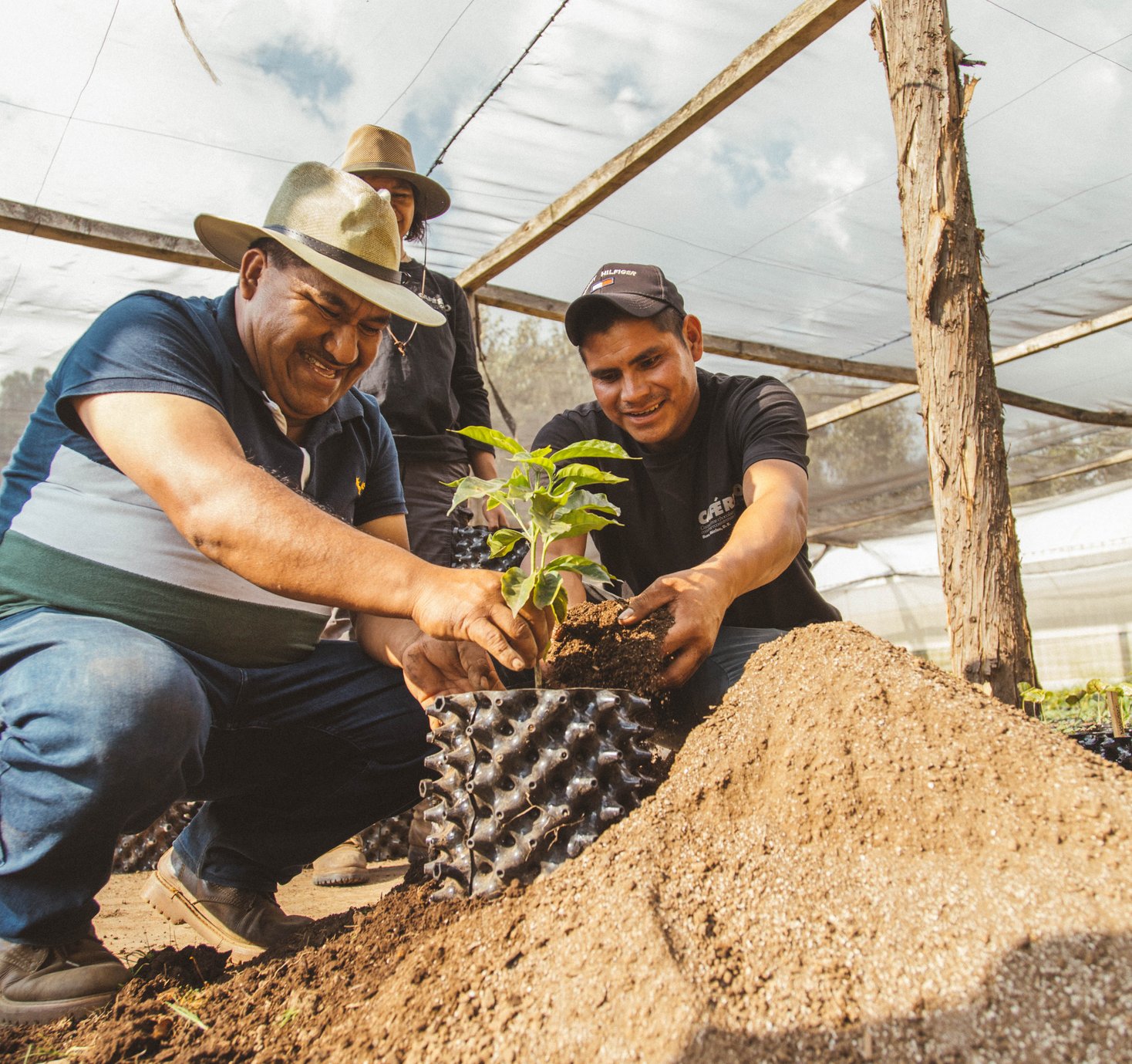 What is Biological Agriculture? Read the Q&A with Lalo Perez from BUNA ...