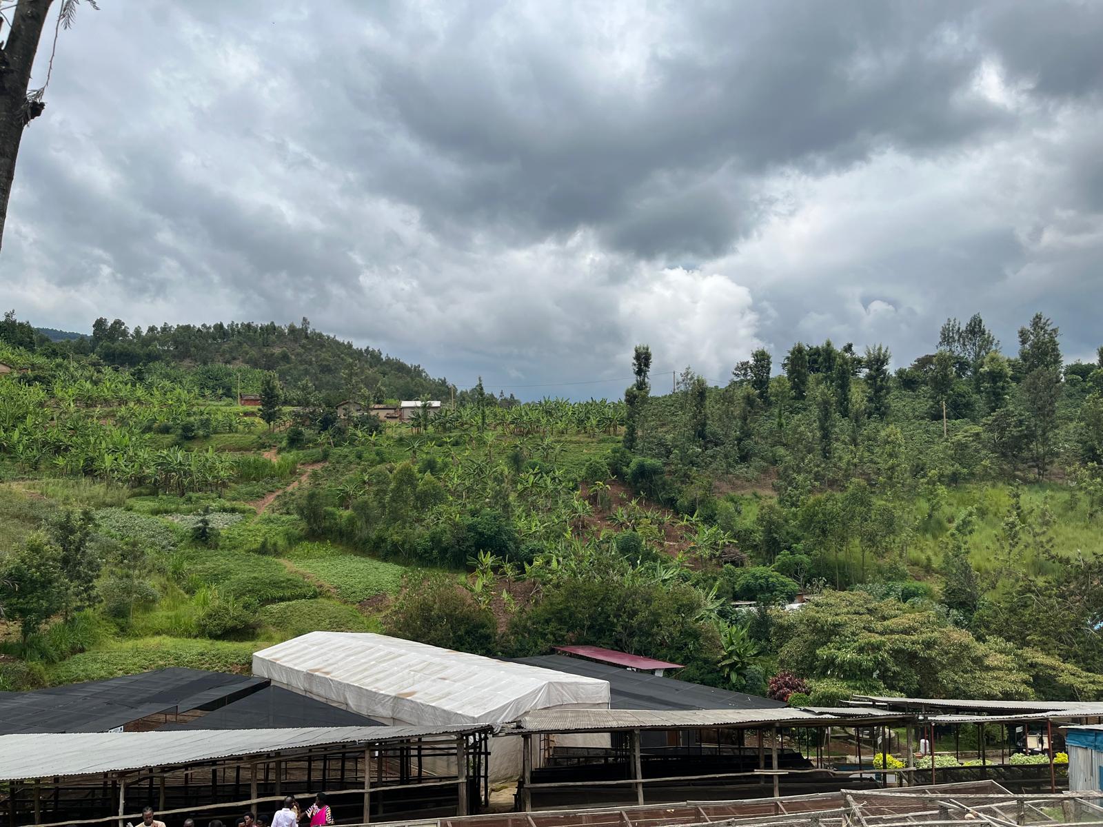 Rwanda: The Rising Star of East Africa