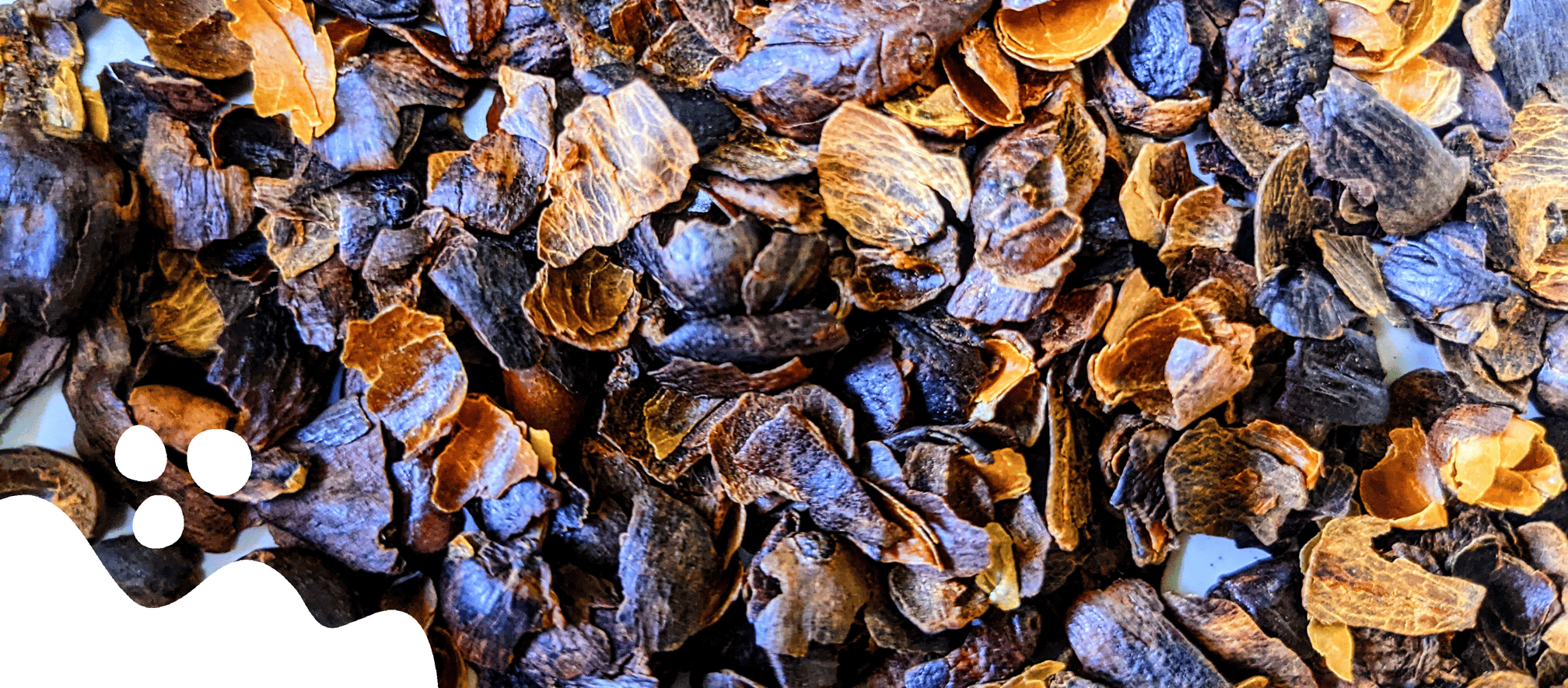 Get Creative with Cascara: From Sodas to Scones